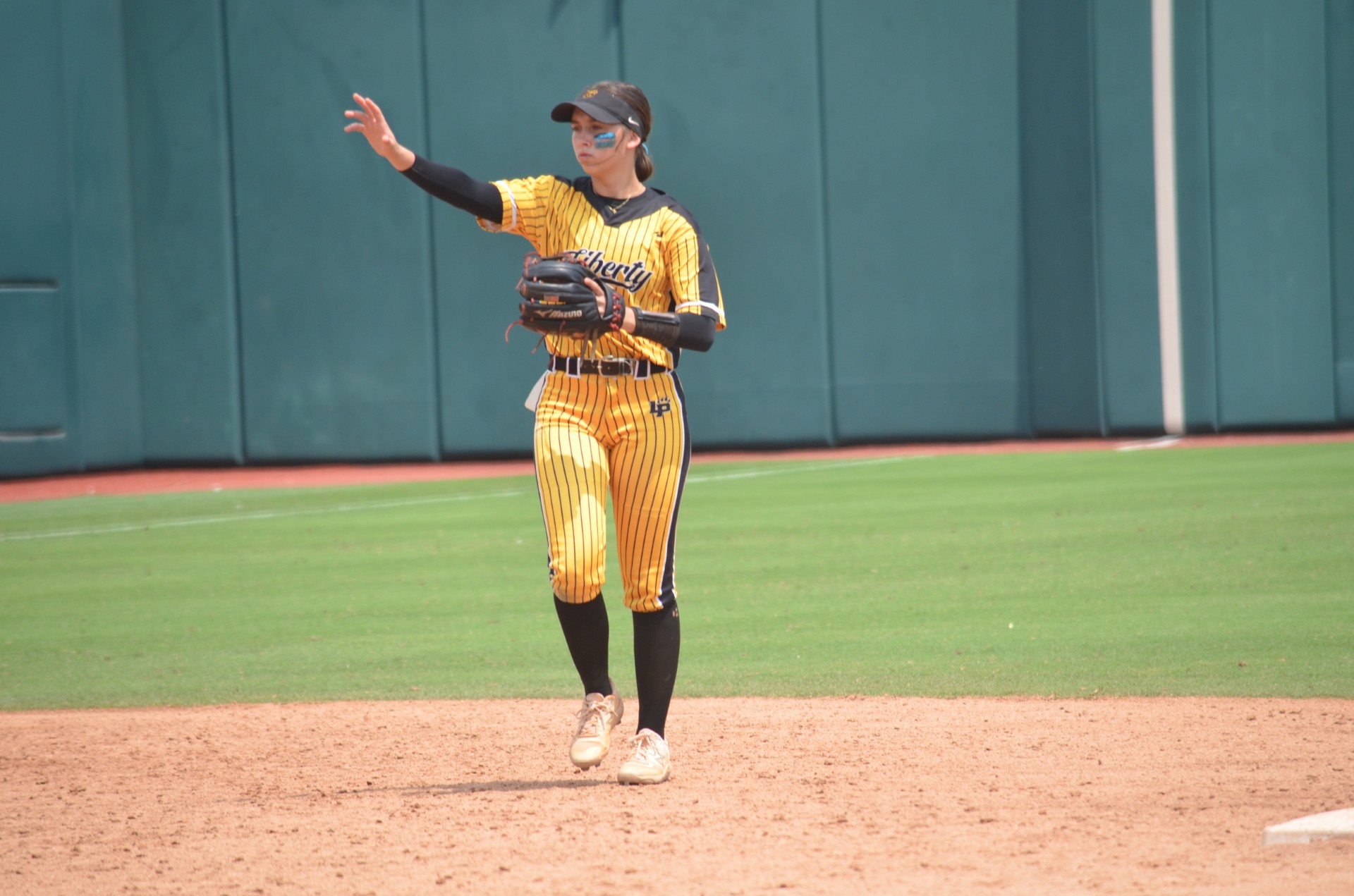 Liberty lands four on TGCA All-State Team | Liberty Vindicator