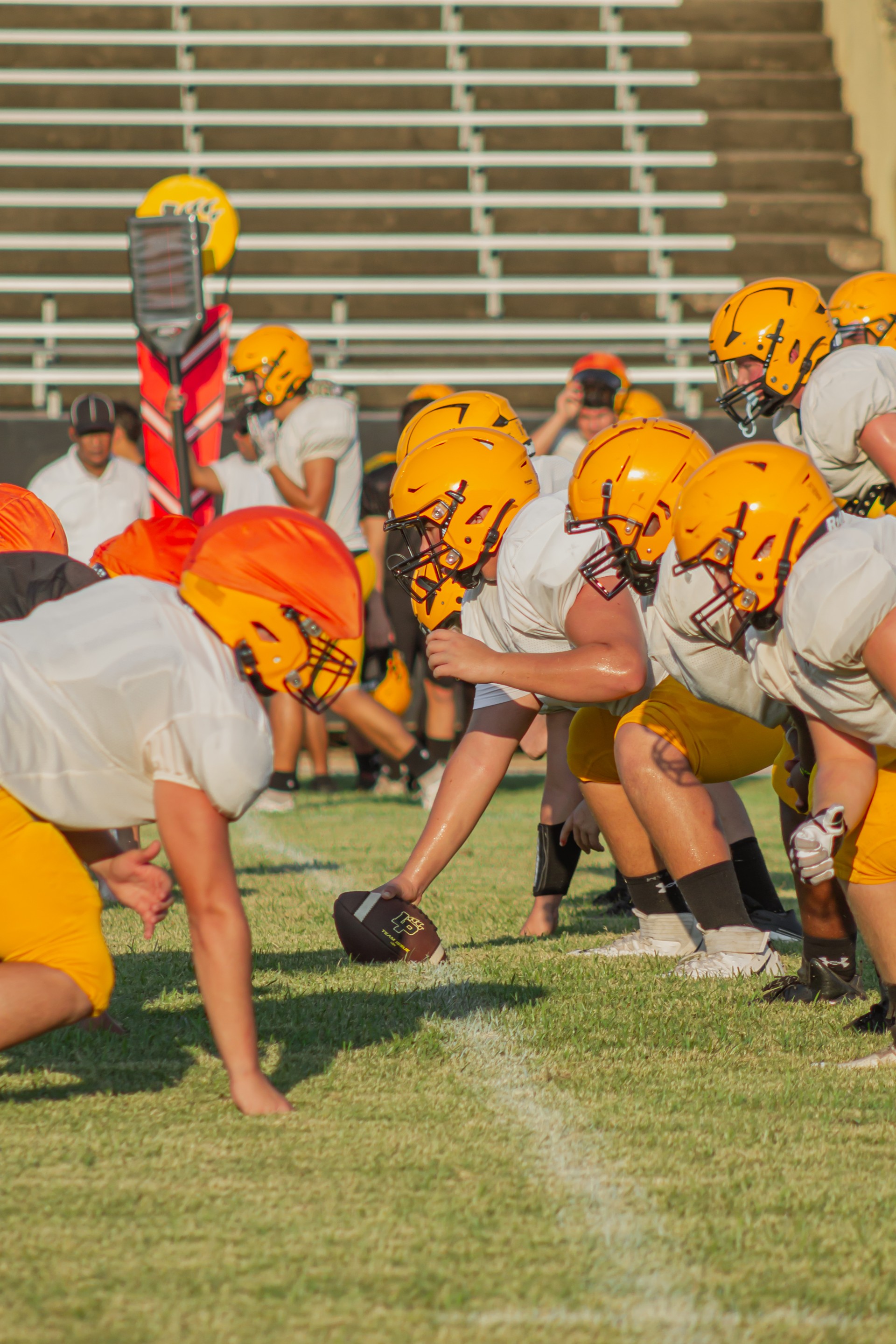 Harrison likes Panthers early energy | Liberty Vindicator