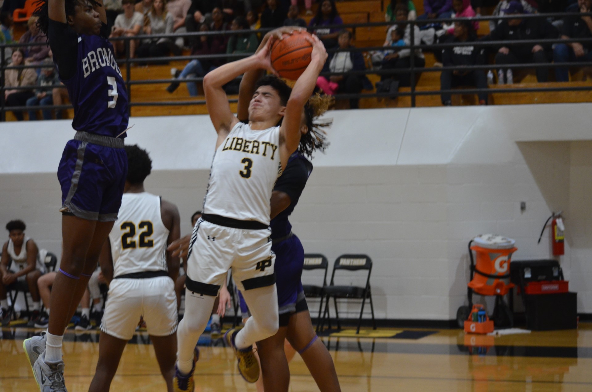 Rollins scores 22 as Dayton knocks off Liberty 67-53 | Liberty Vindicator