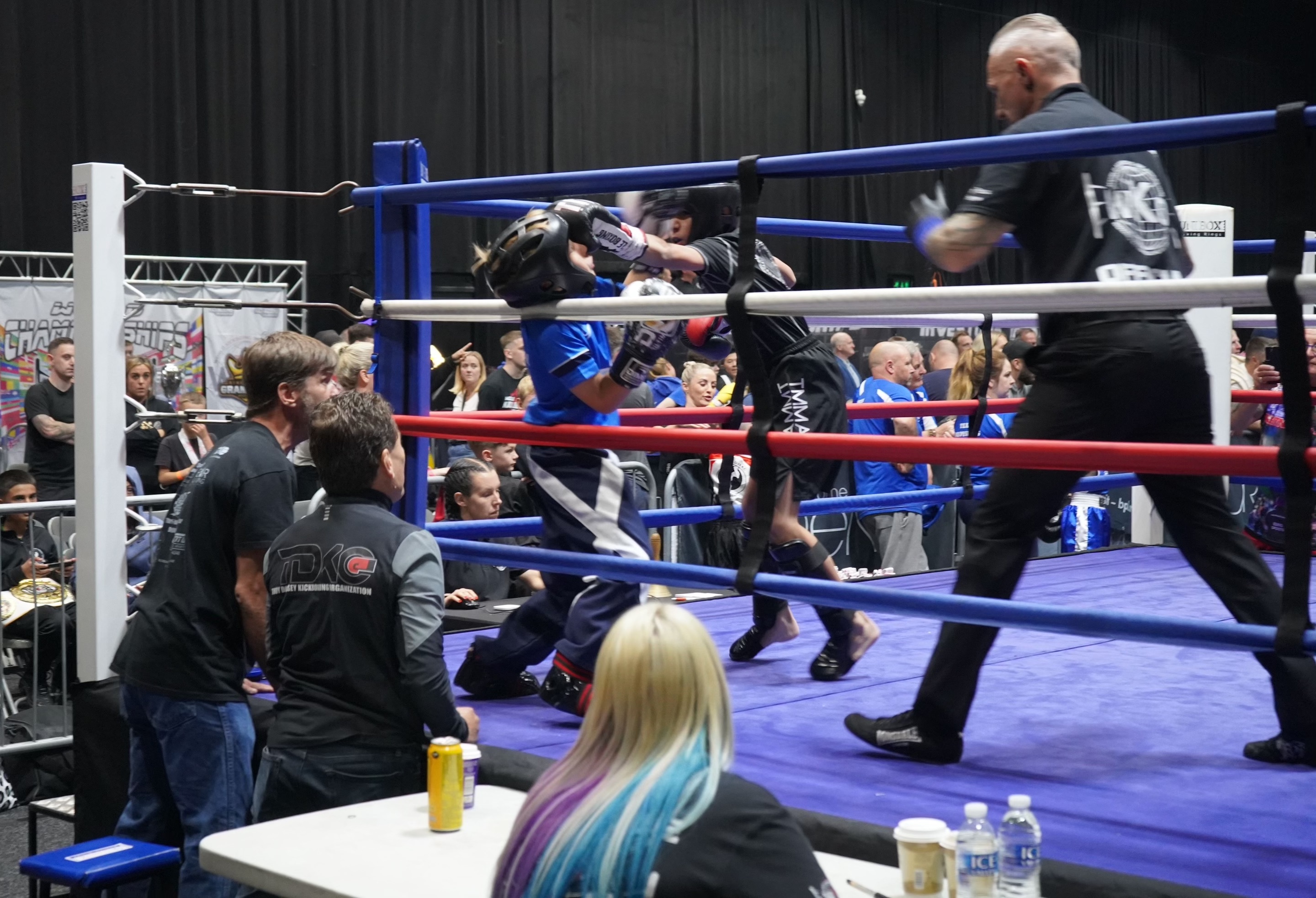 McDowell wins WKO Open World Champion Kickboxing | Liberty Vindicator