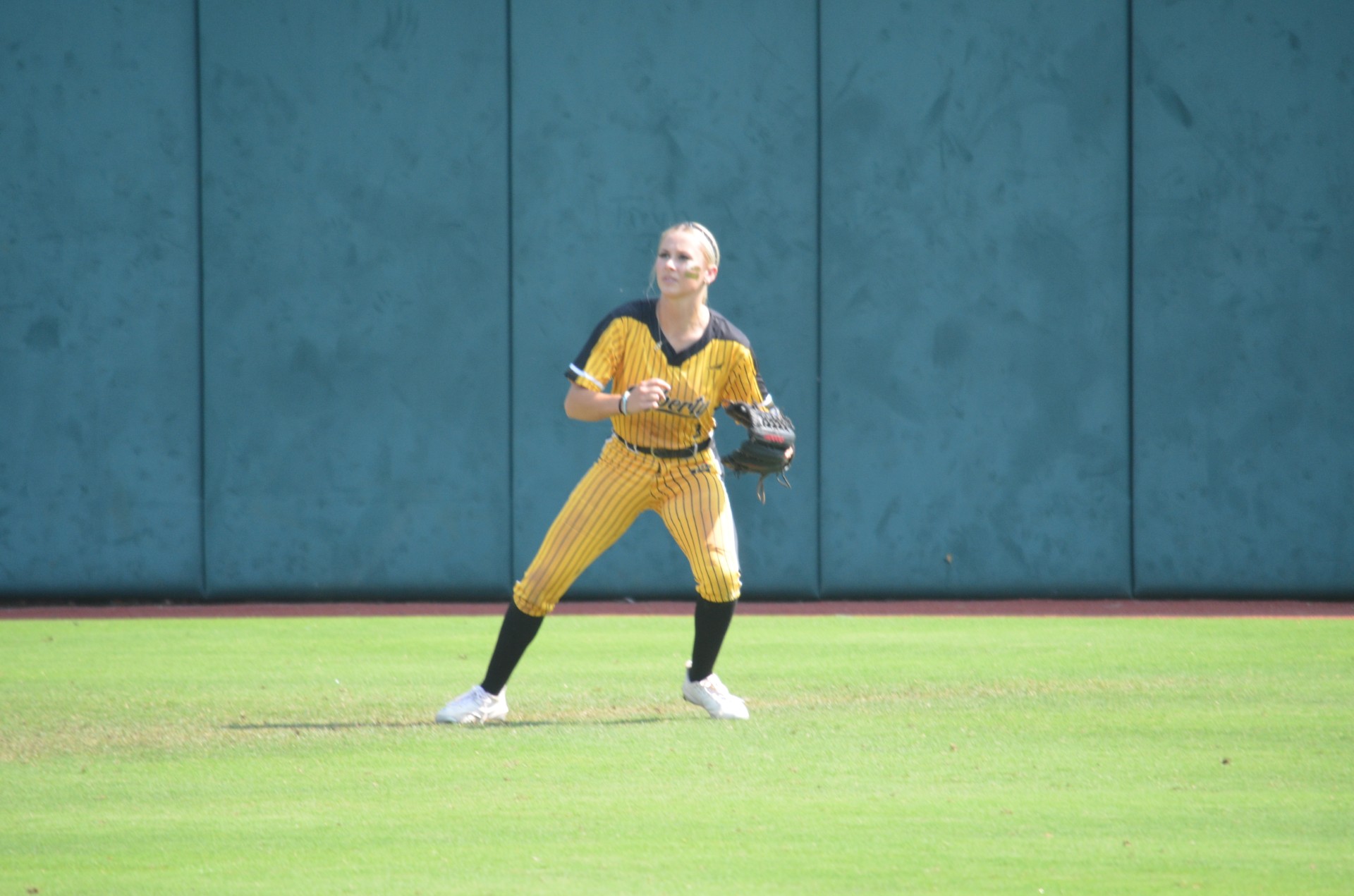 Liberty lands four on TGCA All-State Team | Liberty Vindicator