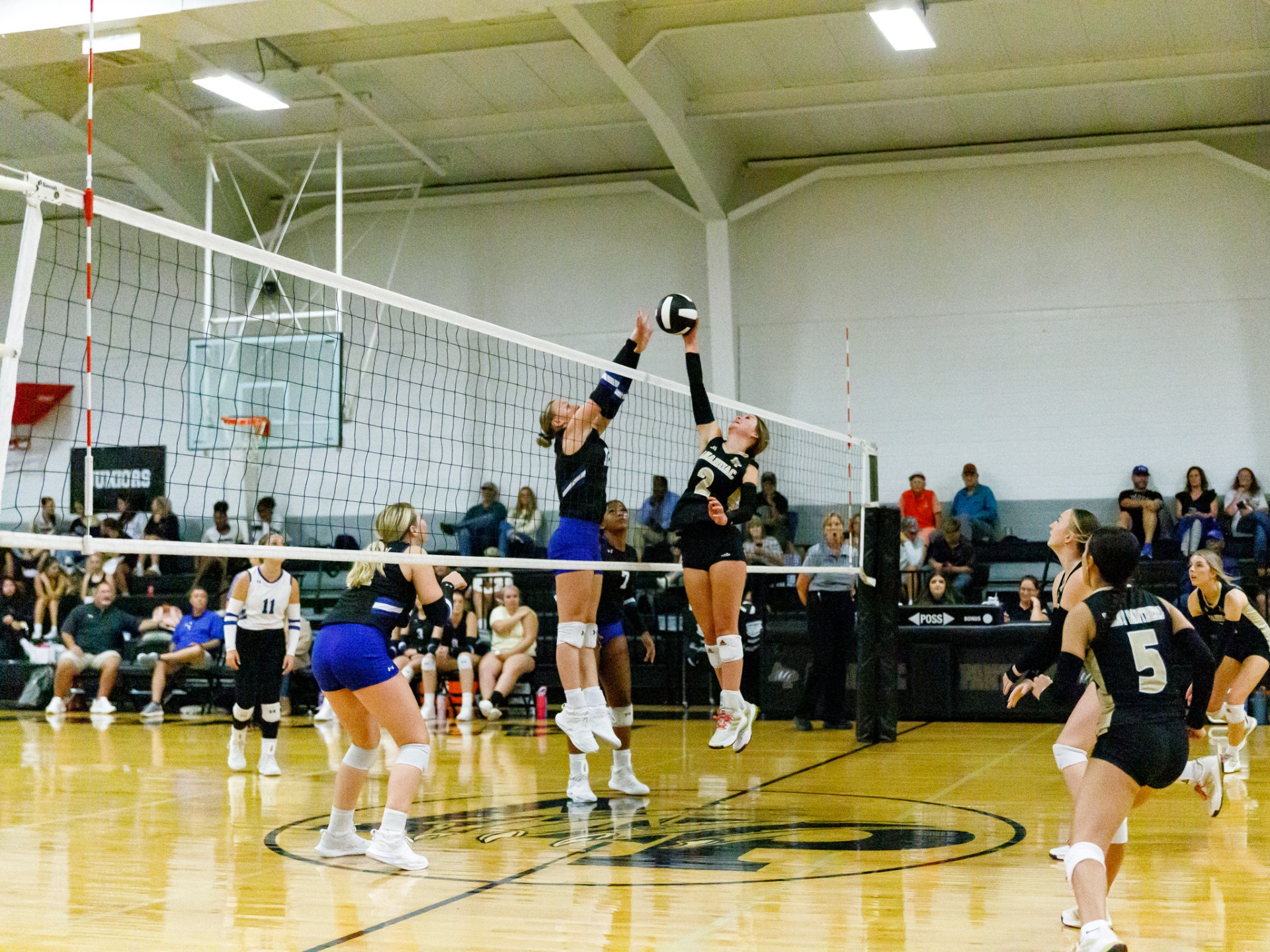 Hardin derails Lady Panthers win streak | Liberty Vindicator