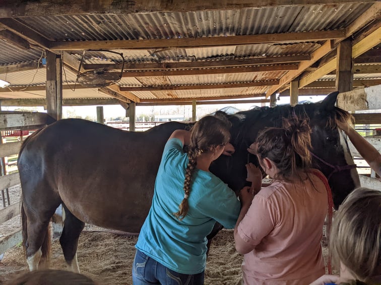 Twisted Cactus Rodeo Team and Training | Liberty Vindicator