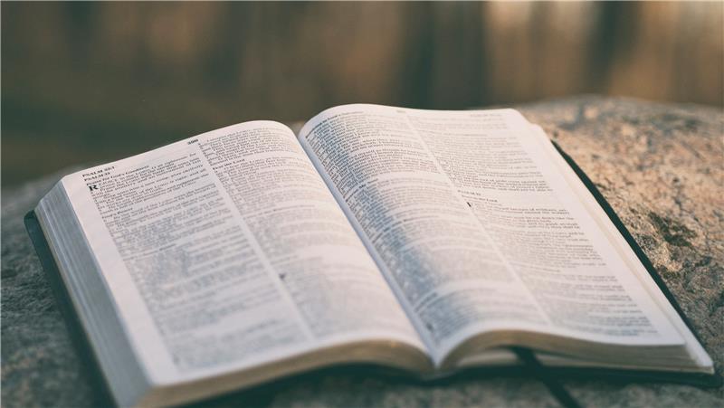 What Does The Bible Say? | Liberty Vindicator
